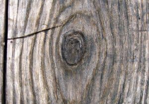 How To Tell The Direction Of Wood Grain
