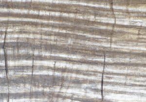 How To Tell The Direction Of Wood Grain