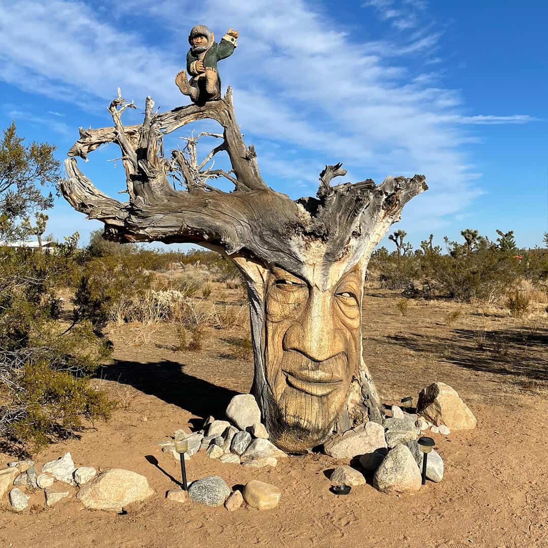 The Root Ball Sculpture Of Yucca Mesa Road